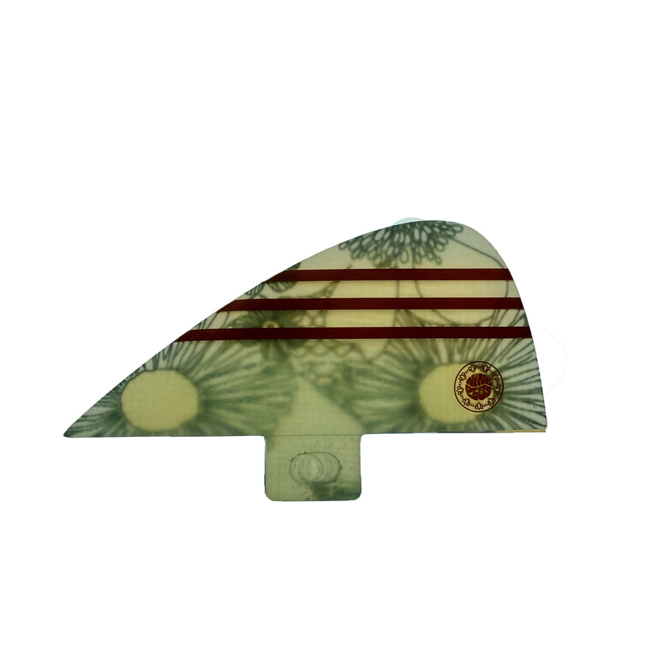 Fins – Icons of Surf
